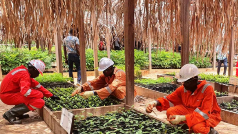 Gabon : la Setrag réceptionne six nouvelles locomotives – Journal du Gabon